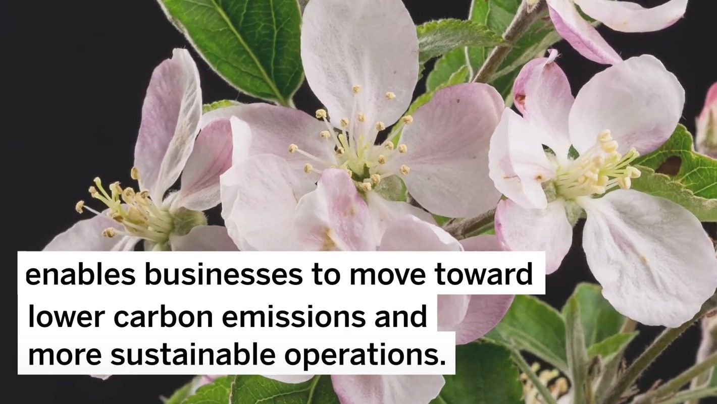 Sap Product Footprint Management